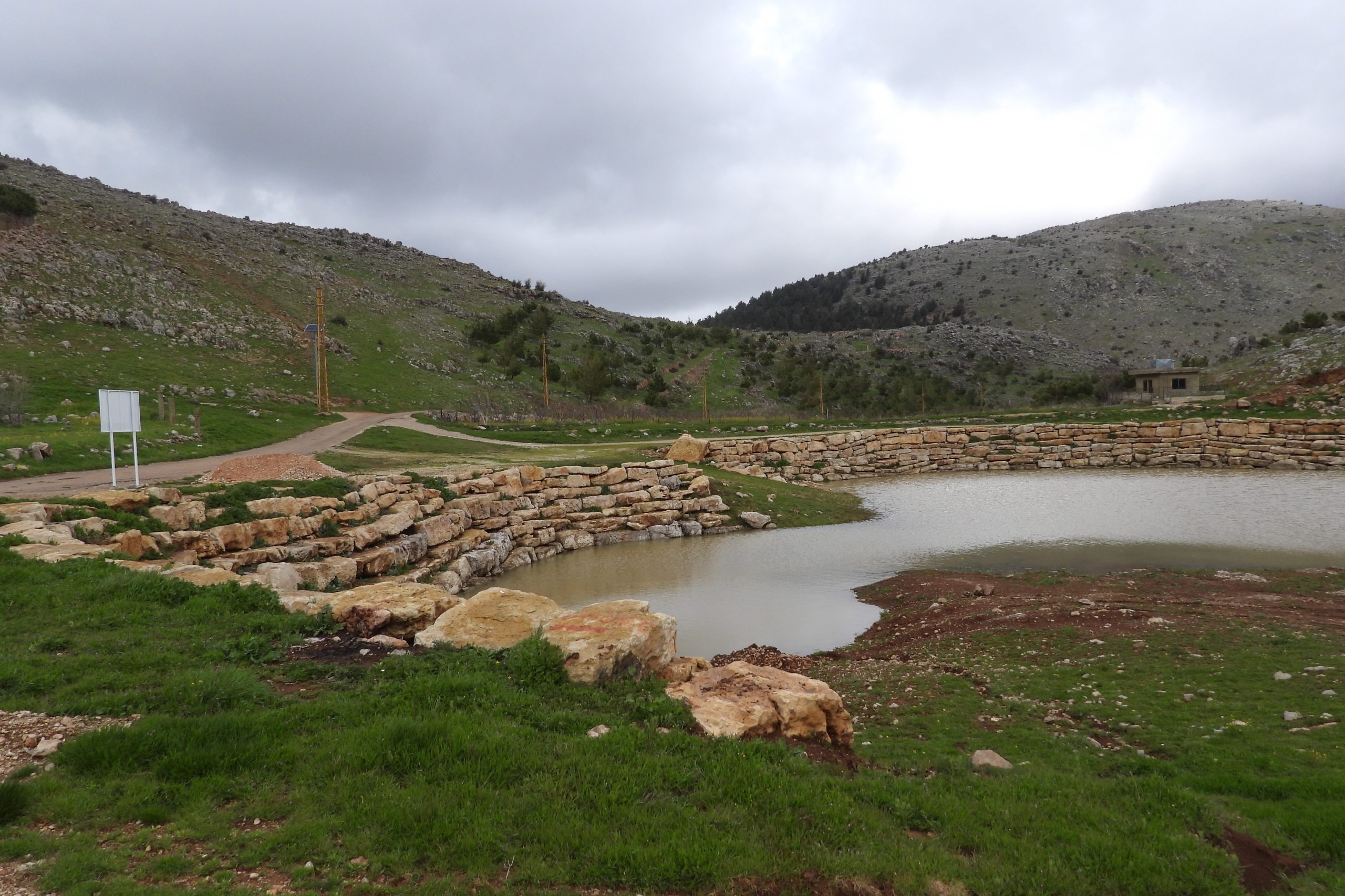 Beyond Law Enforcement: How Community-Based Regulations Can Strengthen ...